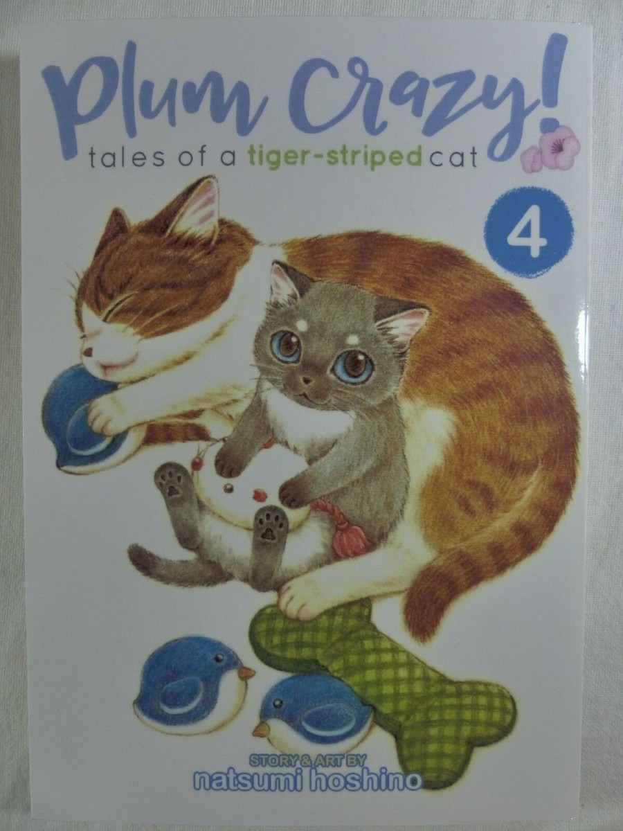 Crazy Cat Comic Crazy Cat Cartoon Stock Illustrations – 6,004 Crazy