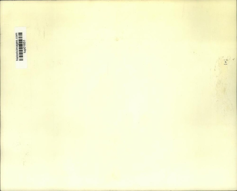 1989 Press Photo Scene from the PBS documentary "Return of the Wolves ...