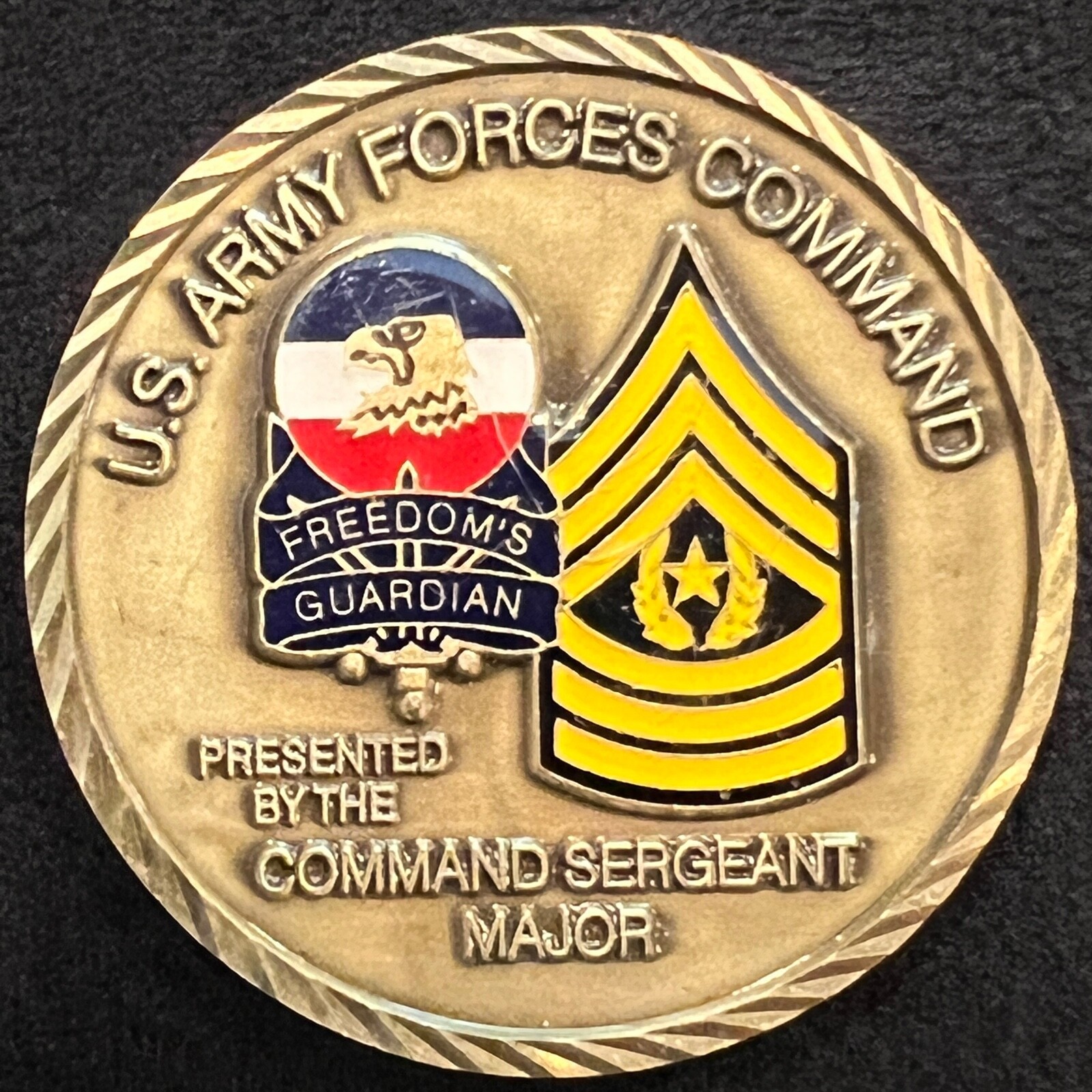 Freedoms Guardian One Team One Fight One Future Challenge Coin | eBay