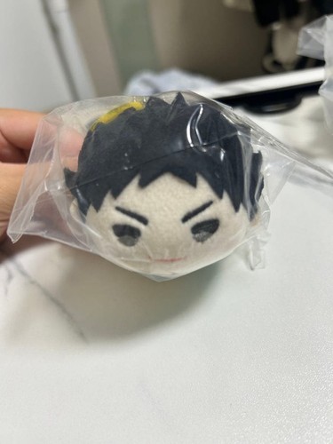 Haikyuu!! Iwaizumi Mochimochi Mascot Plush MIB, Cute, Soft, | eBay