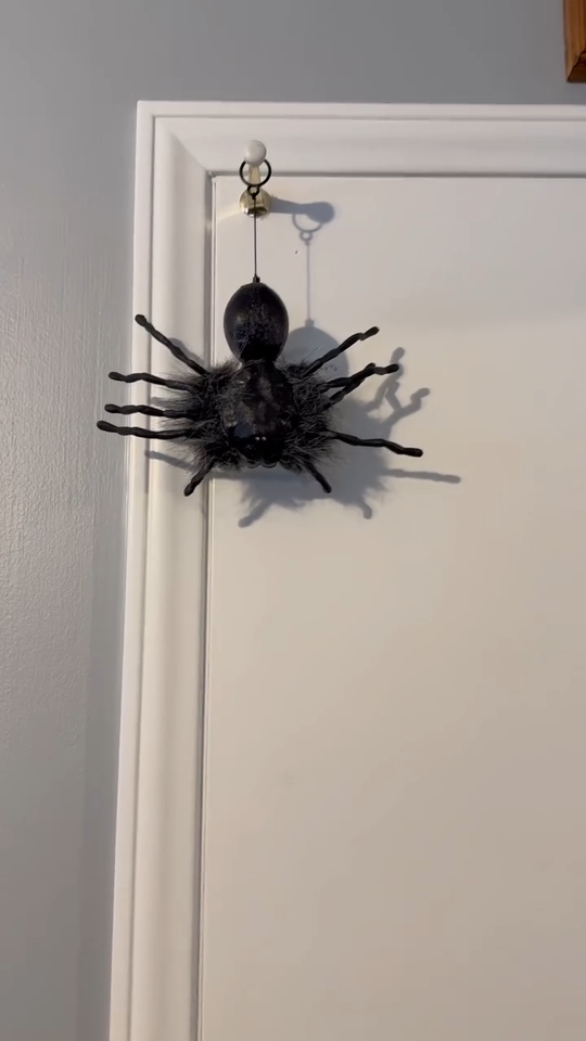 Dropping Dangling Spider Red Eyes Sound / Sound Activated -Used | eBay