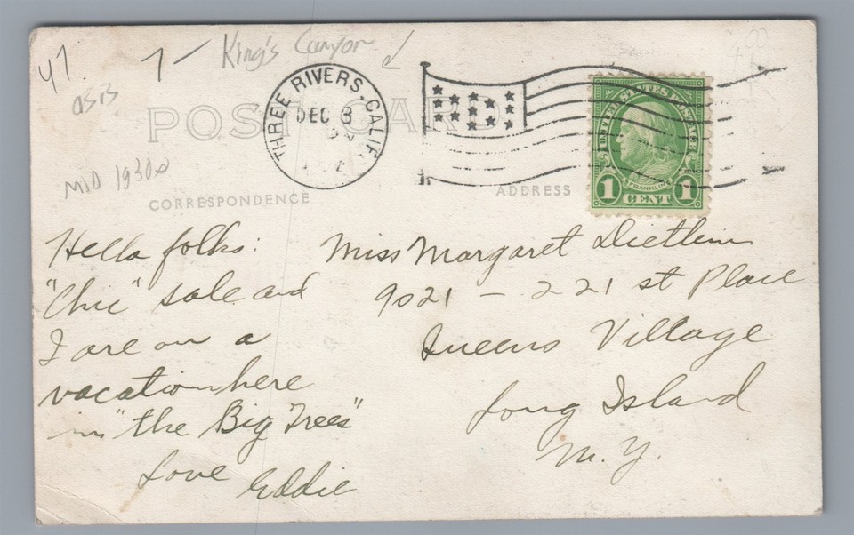 RPPC Sequoia Tree Grove Three Rivers KINGS CANYON CA Real Photo ...