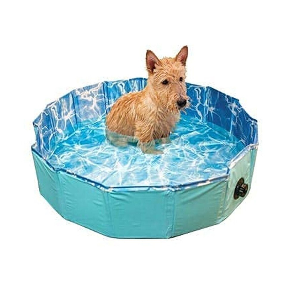 Dog Swimming Pool Kids Baby Foldable Garden Play Pool Puppy 31" x 8 ...