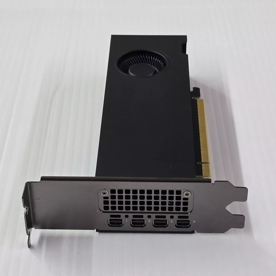 NVIDIA RTX 2000 ADA 16GB GPU Generation GDDR6 Professional Graphics ...