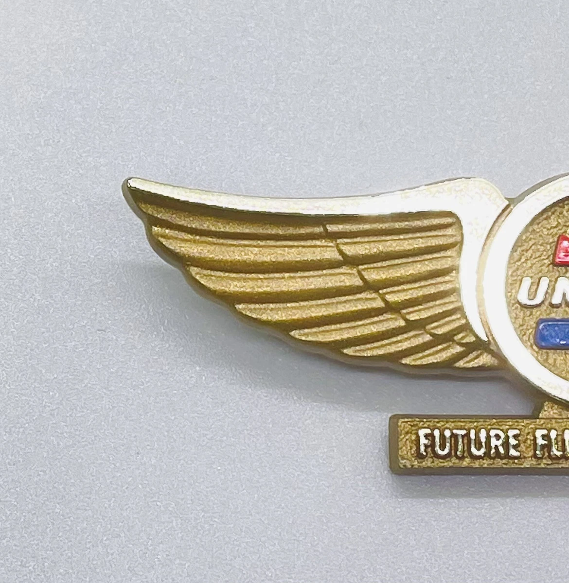 Flying Wings Pin