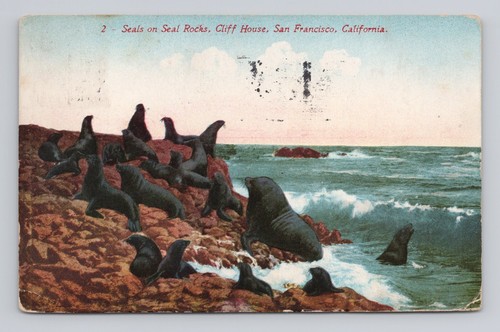 Seal Rocks Cliff House San Francisco California VINTAGE POSTCARD 1271 ...