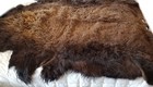 Buffalo Hide Rug, 'Large' Premium Winter Coat Tanned Bison Rug, Made In ...
