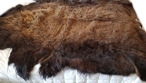 Buffalo Hide Rug, 'Large' Premium Winter Coat Tanned Bison Rug, Made In ...