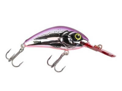Salmo Hornet #4F Crankbait Lure (Select Colors) | eBay