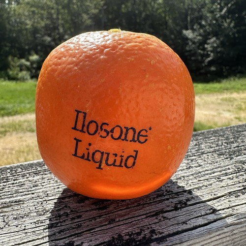 Vintage Ilosone Liquid Plastic Orange Fruit Coin Bank Medical Drug ...