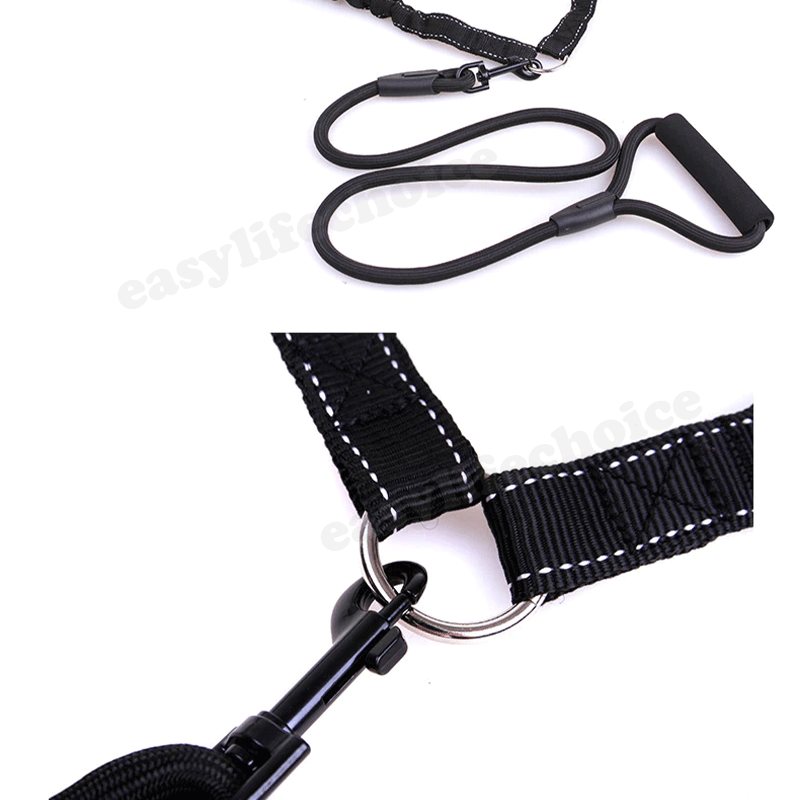 Double Dog Coupler Twin Lead 2 Way Strap Two Pet Walking Dual Leash ...