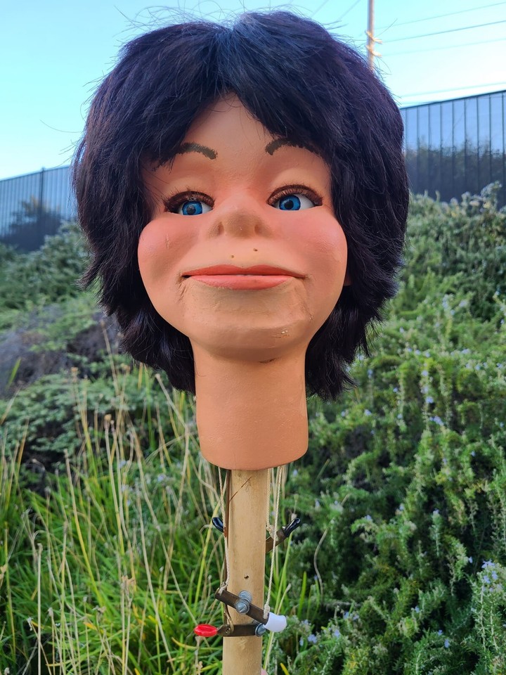 Craig Lovik 1974 Living Mouth Ventriloquist Dummy Doll Puppet Figure | eBay