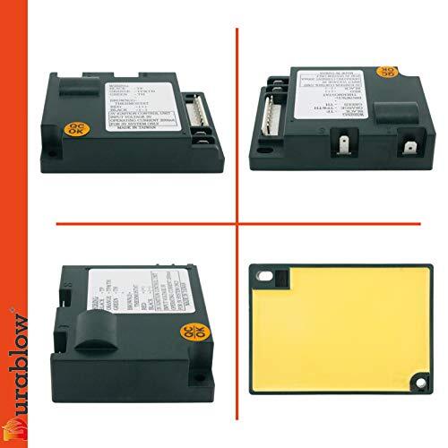 Fireplace Electronic IPI Ignition Control Module for Dexen 593-592, GM ...