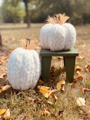 Wool Pumpkins Short | eBay
