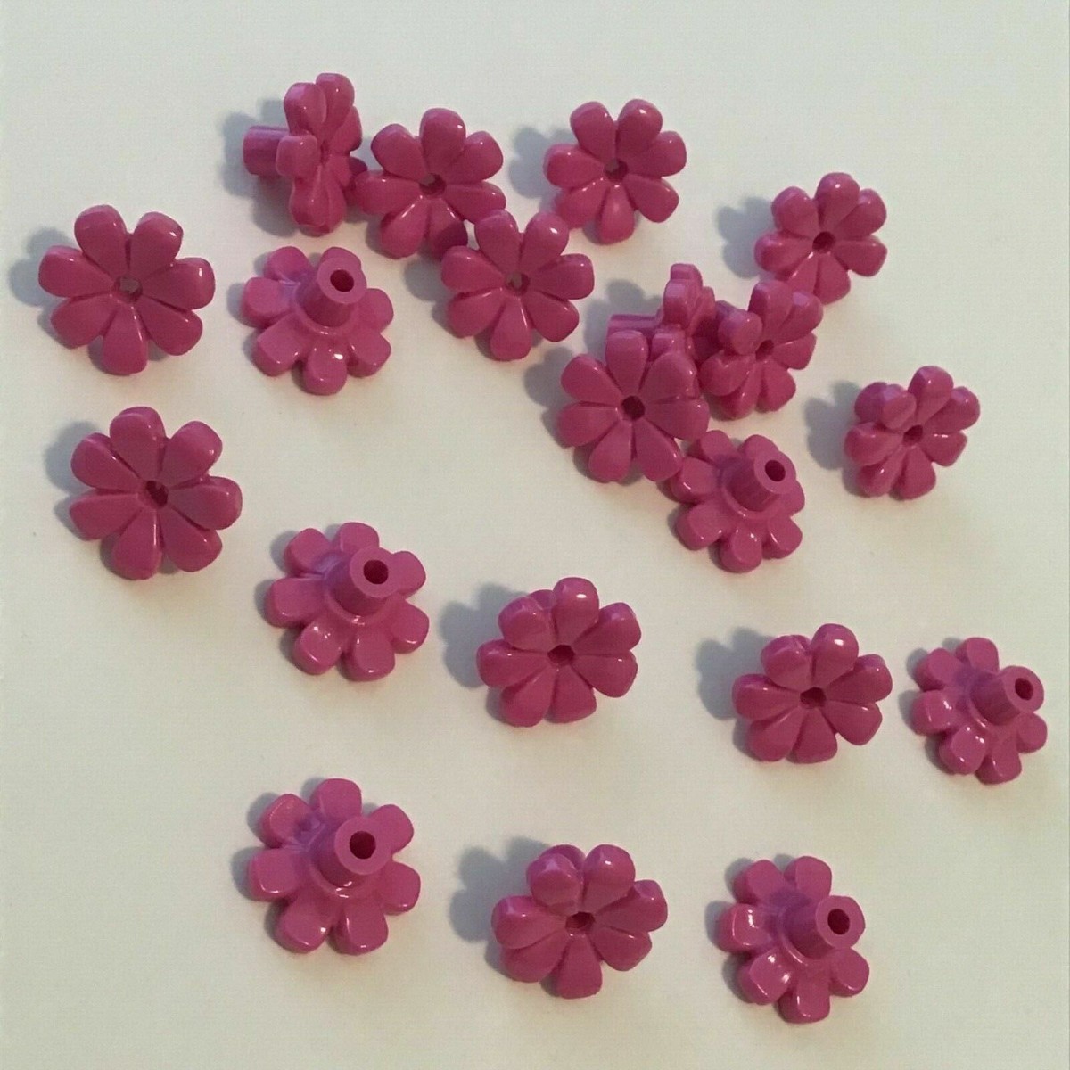 Purple Flower With 7 Petals | Best Flower Site