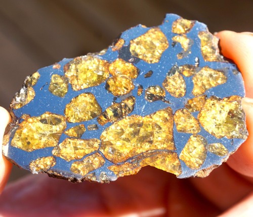 AWESOME 16.8g IMILAC PALLASITE METEORITE FULL SLICE w/ GLOWING OLIVINE ...