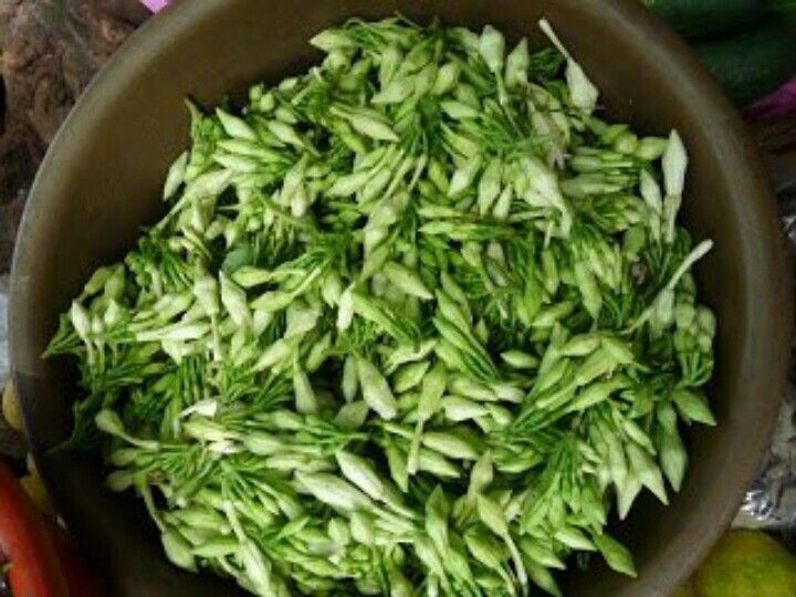 Semillas De Chipilin FERALDIA PANDURATA SEMILLAS DE LOROCO TAMALES ...