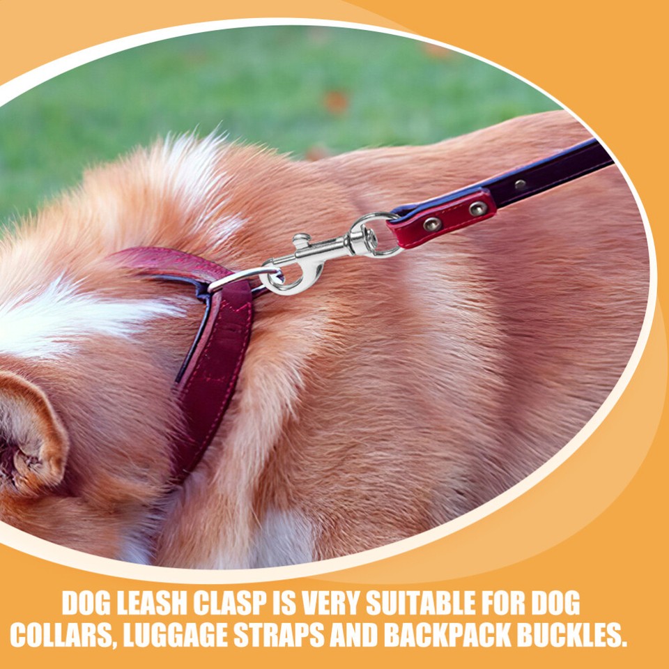 40pcs Dog Leash Clasp Metal Snap Hooks Clips Pet Leashes Spring Buckle ...