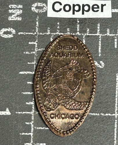 Shedd Aquarium Sea Turtle Chicago Illinois Elongated Pressed Smashed ...