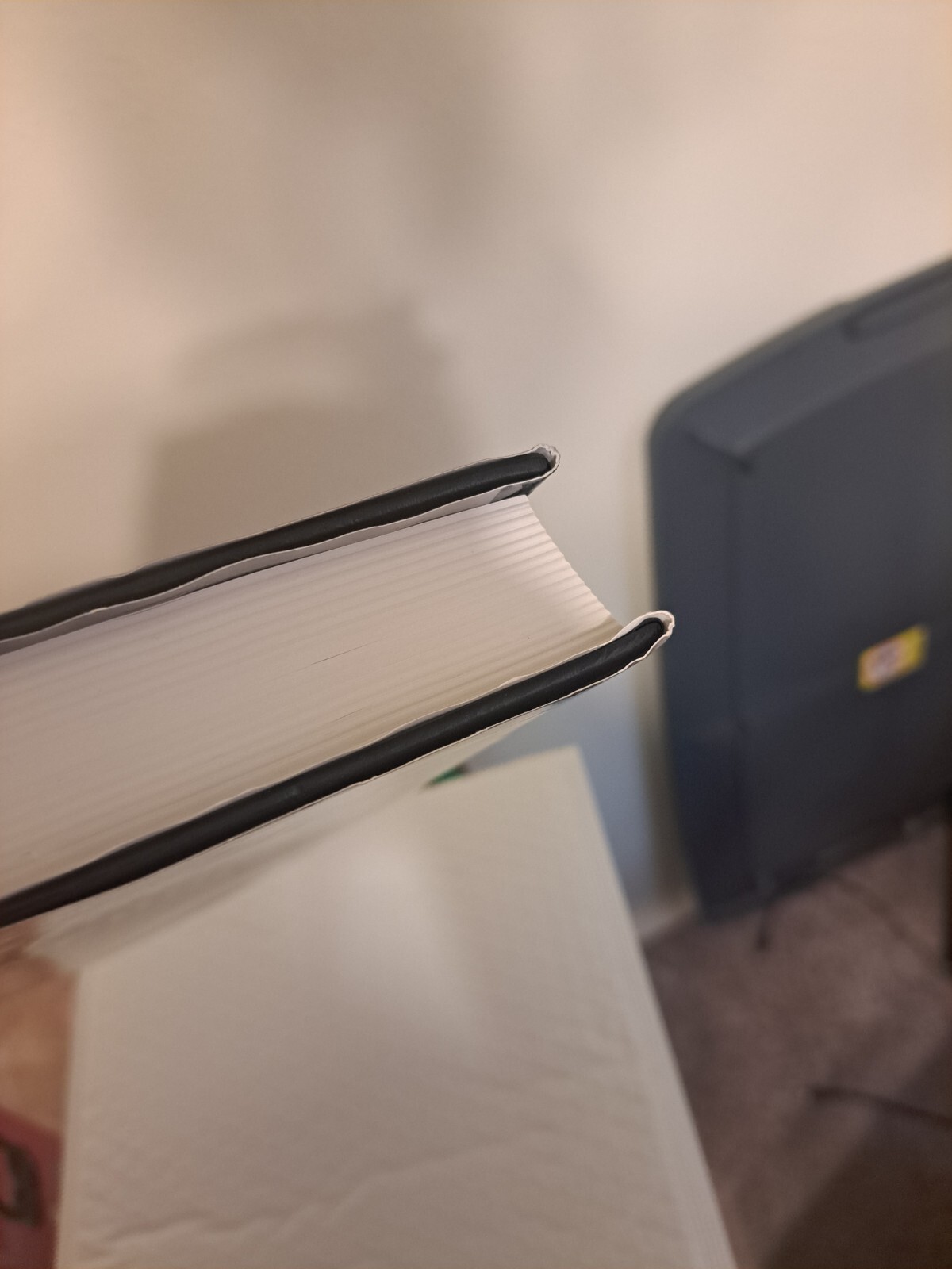 The Unholy Murder of Ash Wednesday by Dominick D. DiPaolo & Jeff Pinski ...