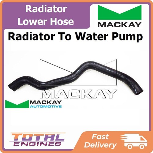 Radiator Lower Hose fits Ford Ranger PX 3.2L 5Cyl P5AT | eBay