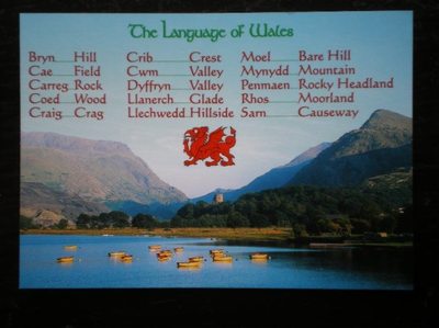 POSTCARD B45-5 THE LANGUAGE OF WALES (1) | eBay UK
