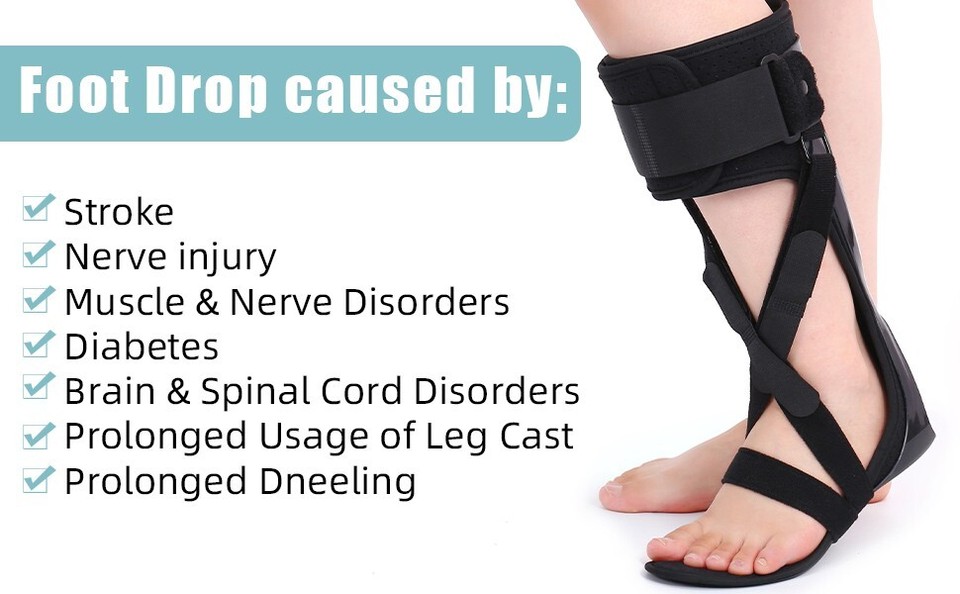 Foot Drop Support Brace (LARGE-Right AFO): Walking for Stroke, MS ...