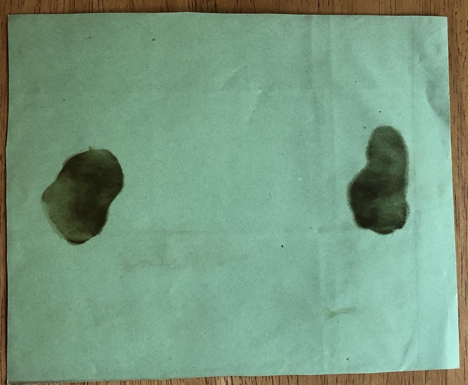 Massachusetts Author and Politician George Lunt Autograph Letter | eBay