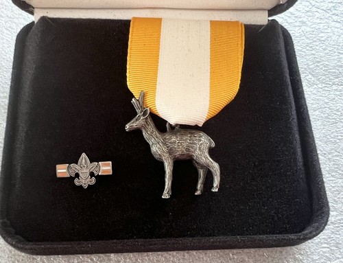 LOT DE MÉDAILLES VINTAGE BSA BOY SCOUT ARGENT ANTILOPE AWARD AVEC ...