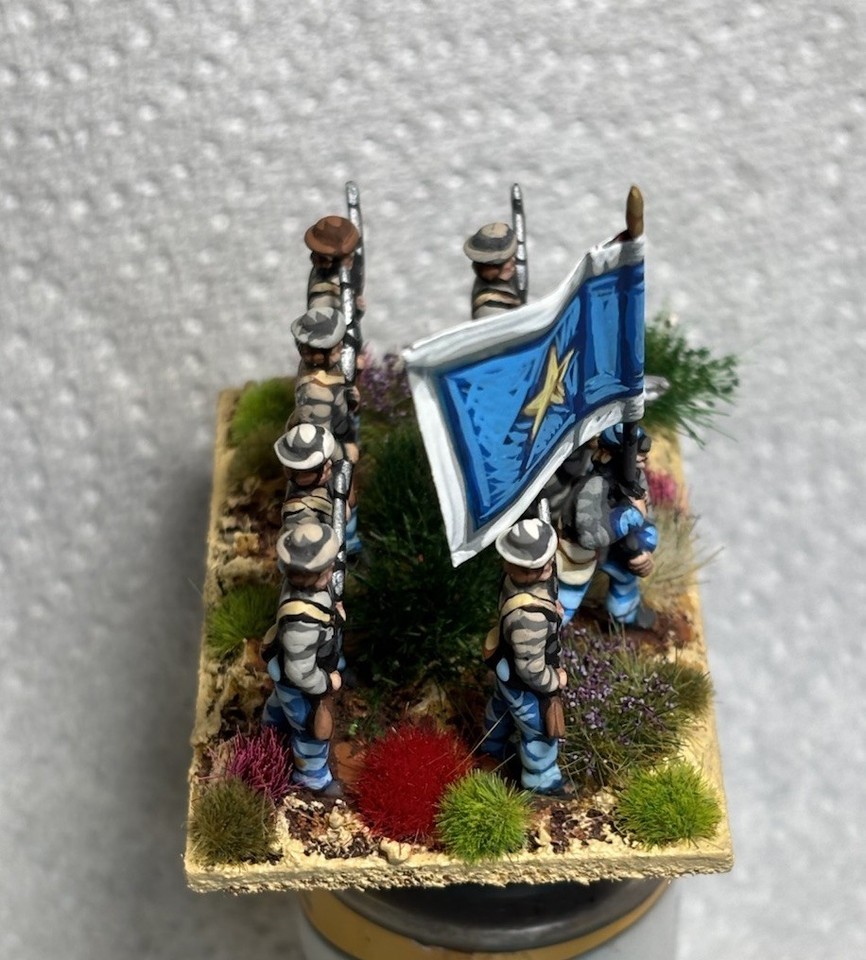 20mm 1/72 well painted ACW American Civil War Confederate Regiment ...