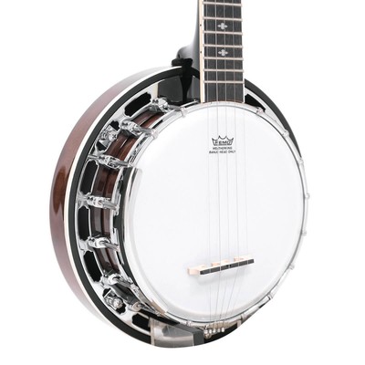 Gold Tone BG-MINI Bluegrass Short-Scale 5-String Resonator Banjo | eBay