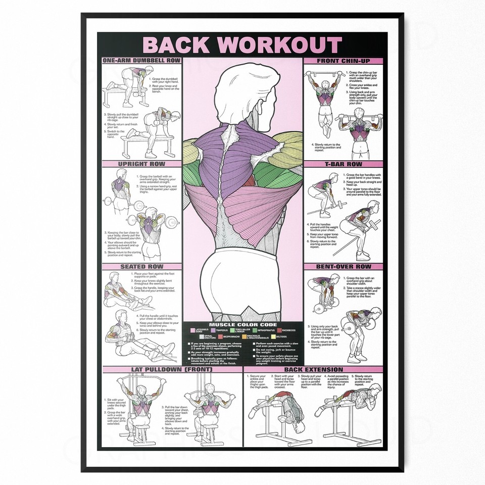Gym Workout Poster All Body Chart Bicep, Tricep, Abs, Etc Exercises ...