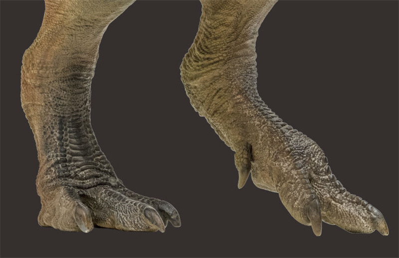 PNSO Zhuchengtyrannus magnus Lu Xiong DINOSAURS SCIENTIFIC ART MODEL | eBay