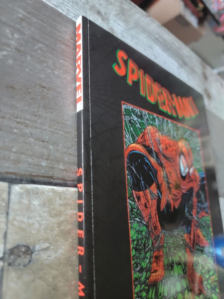 SPIDER-MAN TORMENT TPB - Todd McFarlane - 4th Print Marvel Comics 2001 ...