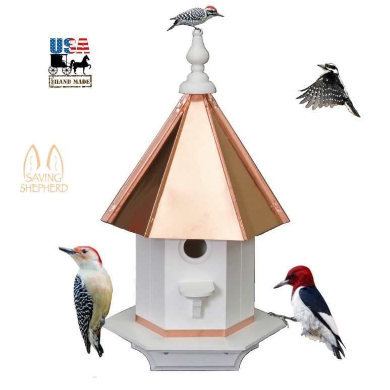 Woodpecker Bird House