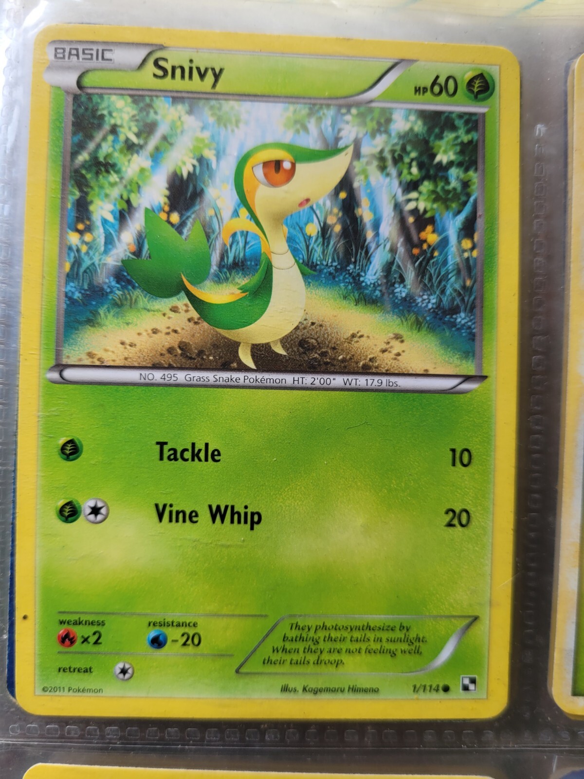 Pokémon Card - SNIVY - 1/114 - Black and White - Common | eBay