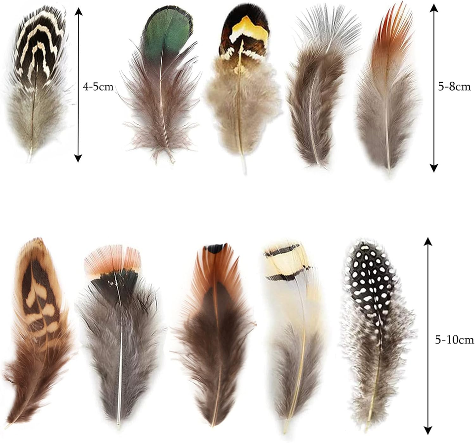 300Pcs 10 Style Natural Feathers Assorted Mixed Feathers for Dream ...