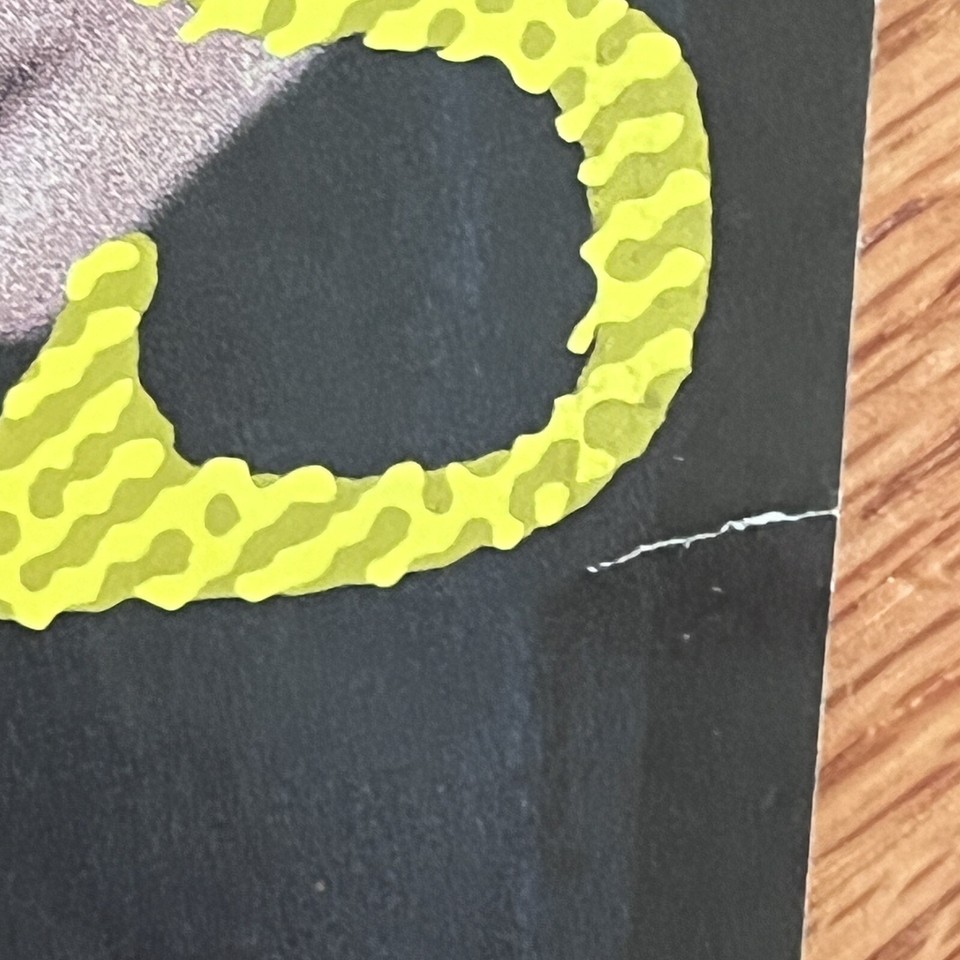 Lemonheads Poster Original 90s Vintage 1993 Album of the Year Evan ...