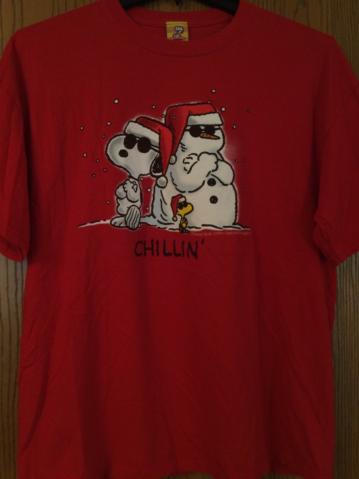 Snoopy & Woodstock With Snowman - “Chillin” - Red Xma… - Gem