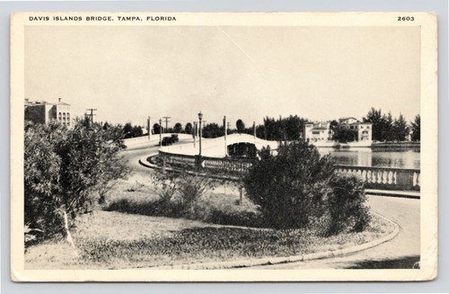 Davis Islands Bridge Tampa Florida Old Cars VTG White Border Unused ...
