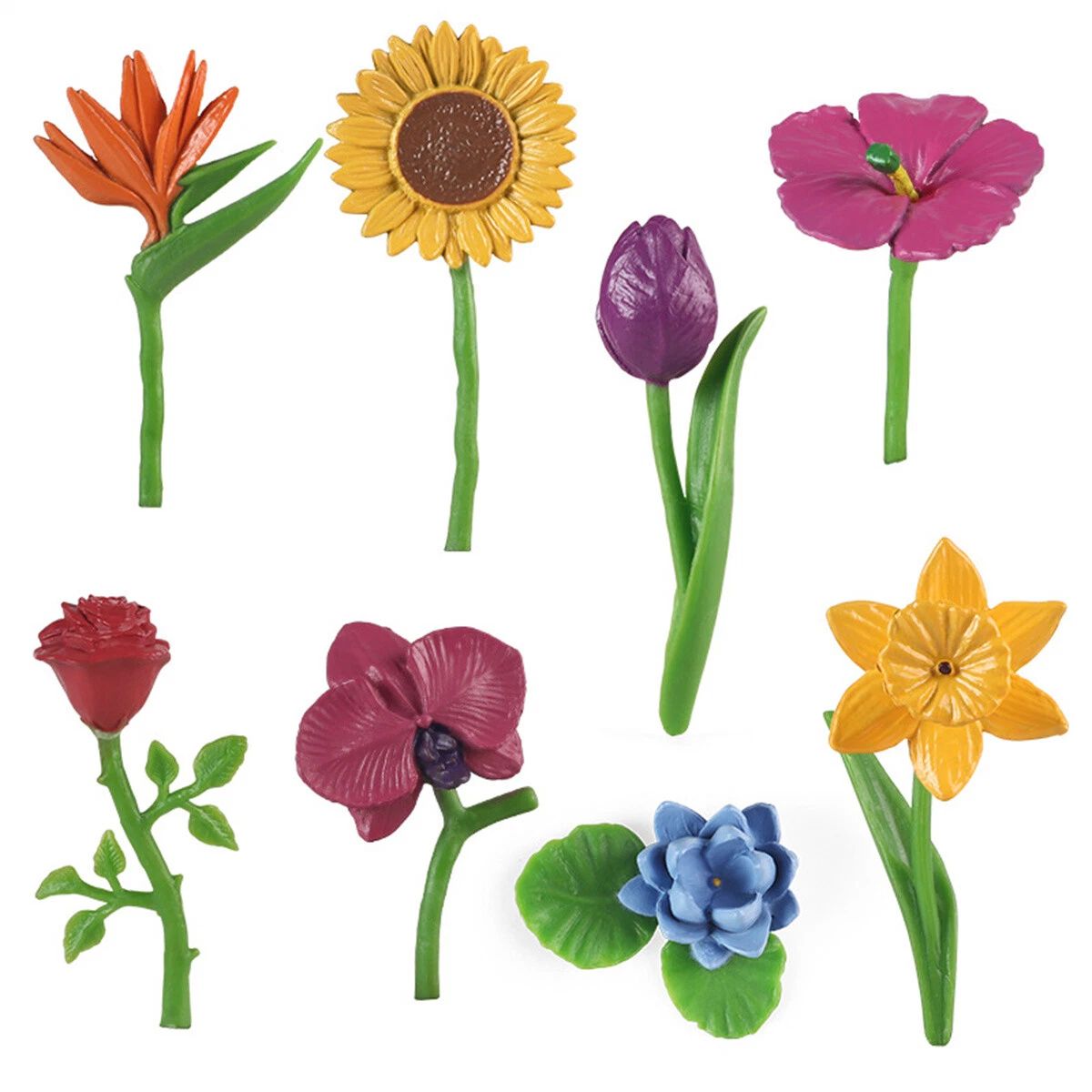 Flower Model Of Service | Best Flower Site