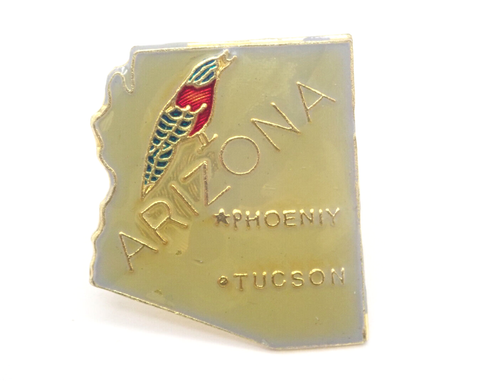 Arizona State Outline Bird Phoenix Tucson Vintage Lapel Pin | eBay