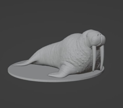 Dire Walrus Monster Manual 28mm Scale DND D&D Tabletop Mini | eBay