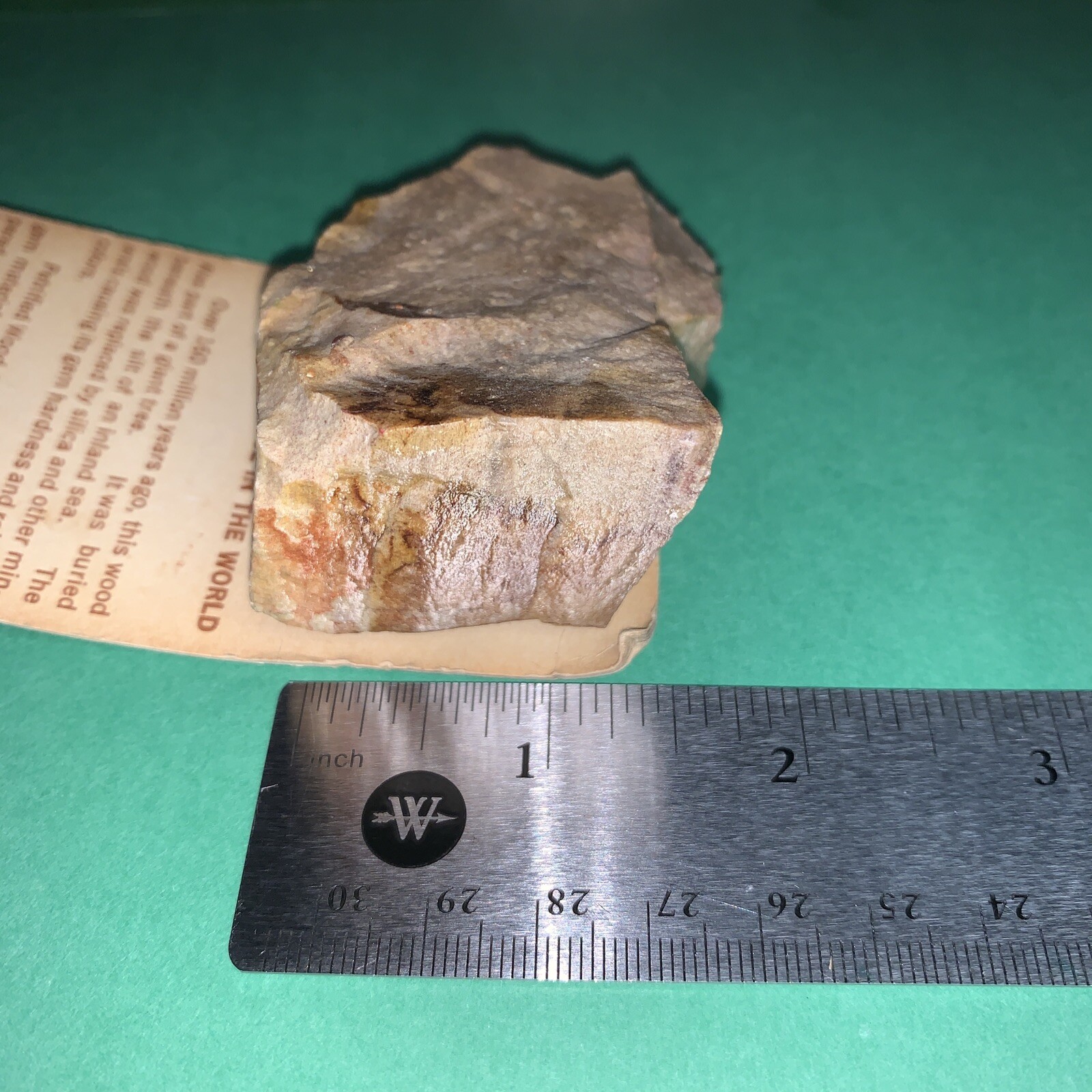 Petrified Wood Log Piece Raw Rough Natural Fossilized Wood Bark Stone ...