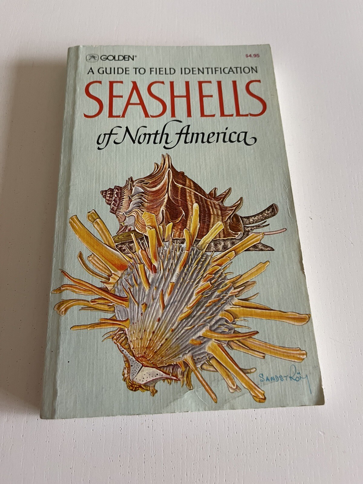 A Golden Field Guide: Identification Seashells of North America 1968 ...