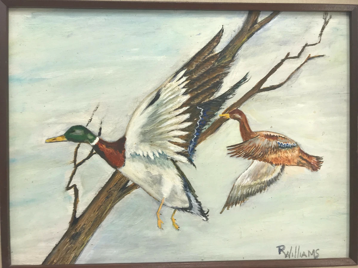 Duck Flying Paintings