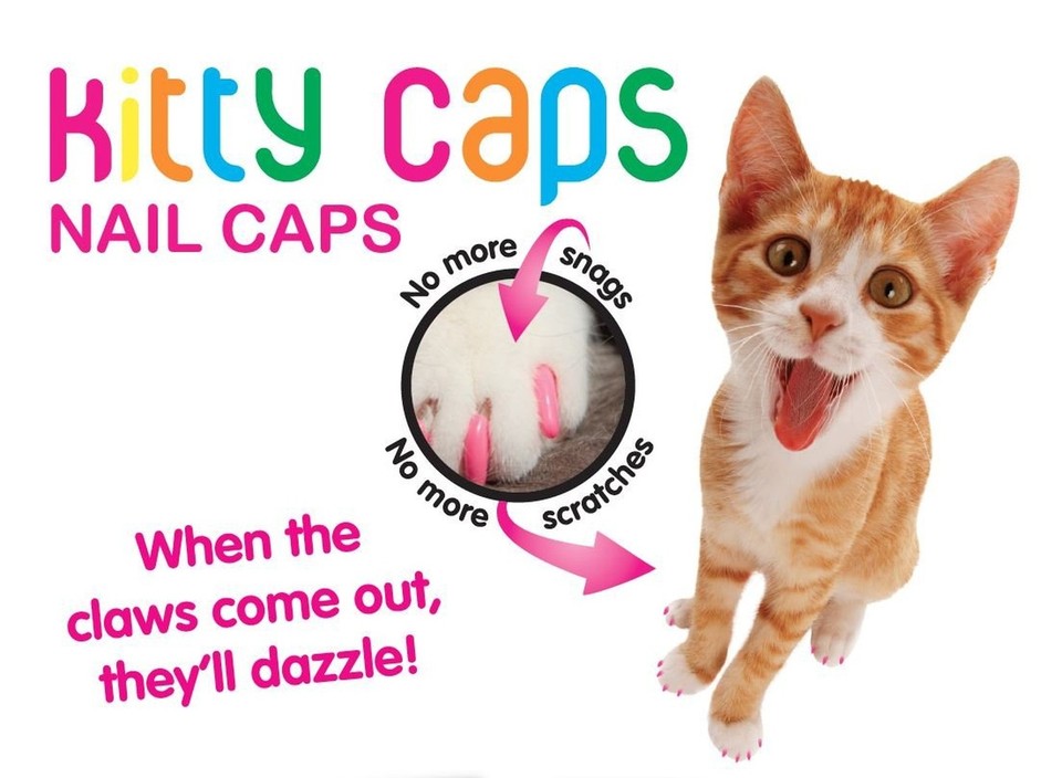 Kitty Caps Nail Caps for Cats, Hot Purple & Hot Pink - Safe, Stylish ...