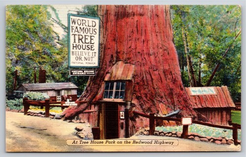 California~World Famous Tree House Park Belive It Or Not~Redwood Hwy ...