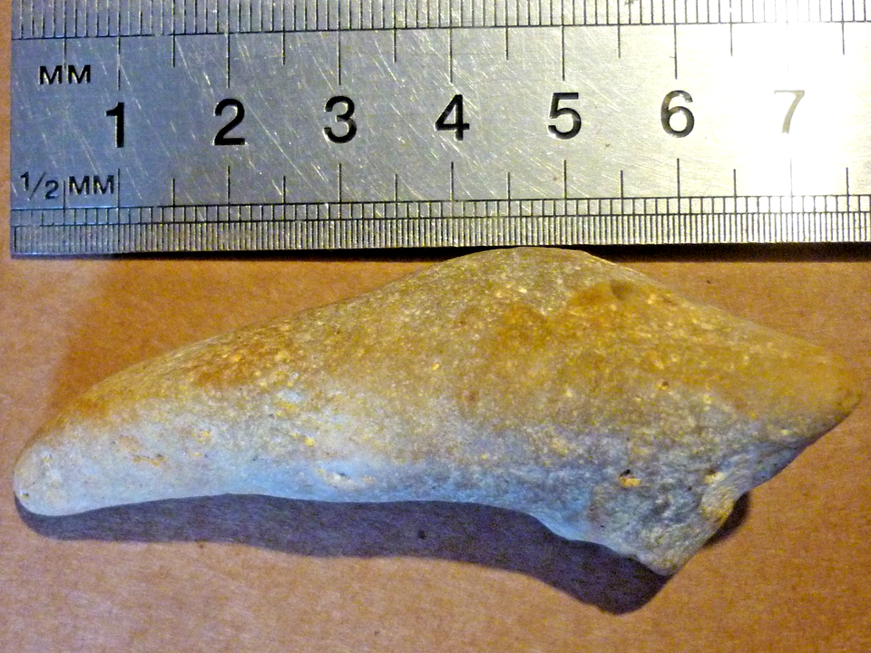 Fossil Dinosaur Tooth With Root.Unidentified.See Pictures & Description ...