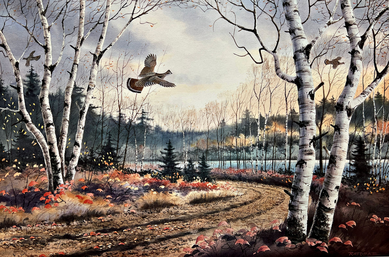 Jerry Raedeke Birch Trail Grouse S/N Art Print 22.5 x 15 | eBay UK
